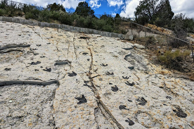 Dinosaur Ridge