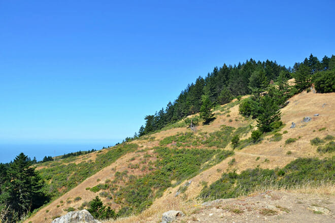 dipsea trail hike