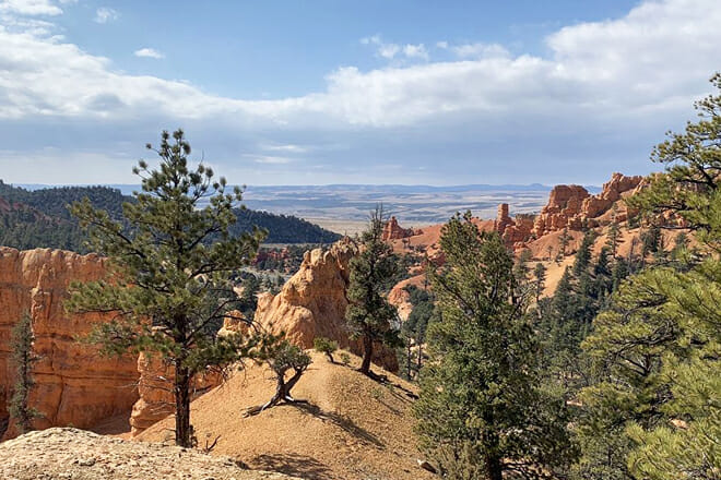 Dixie National Forest