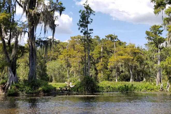 Edward Ball Wakulla Springs State Park