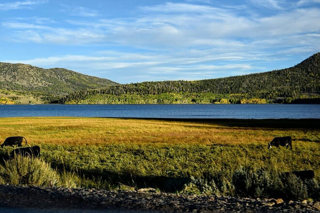Fishlake National Forest