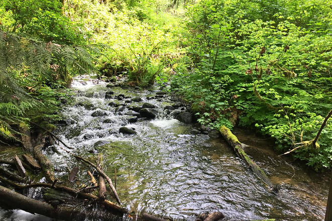 Flaming Geyser State Park