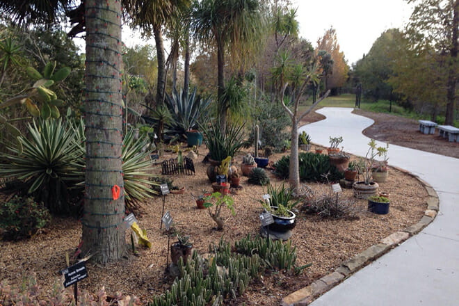 Florida Botanical Gardens