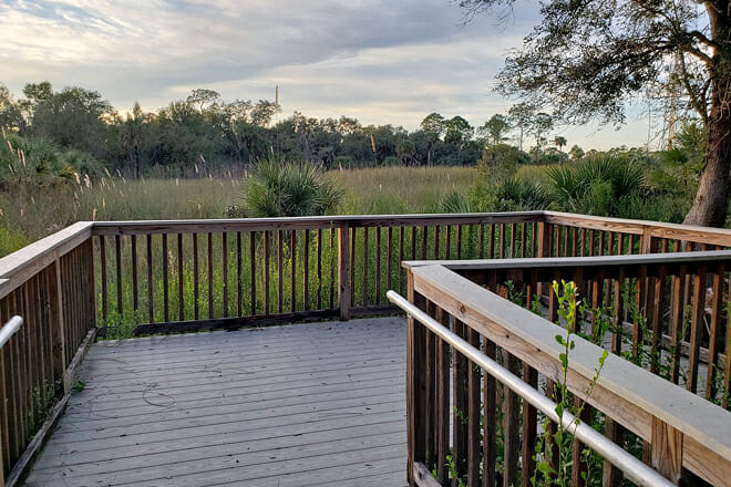 Florida Panther Refuge