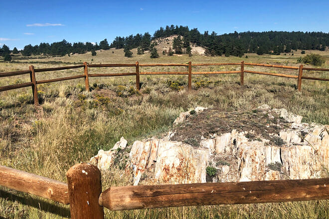 Florissant Fossil Beds National Monument
