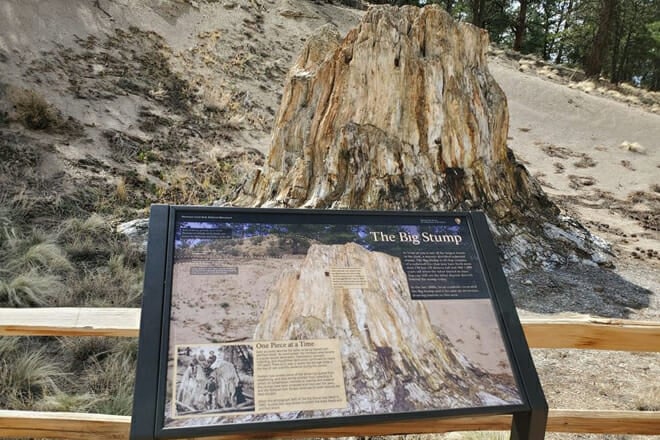 Florissant Fossil Beds National Monument