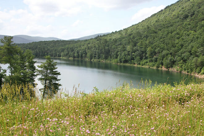 George Washington & Jefferson National Forest