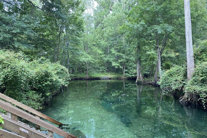 Ginnie Springs
