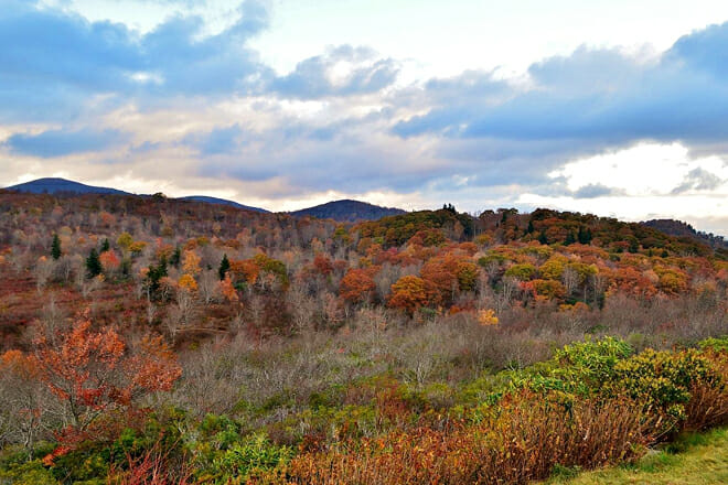 graveyard fields