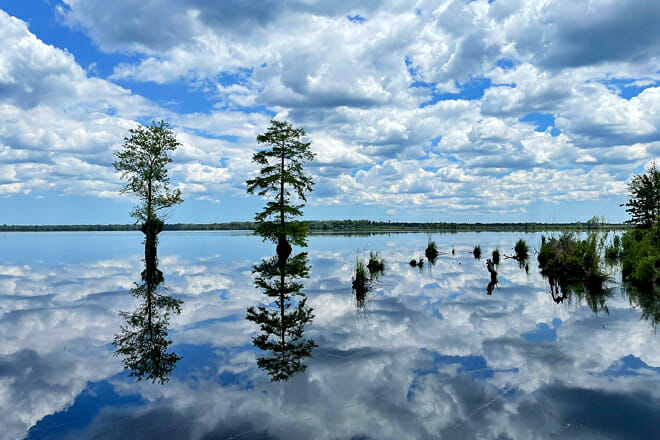 Great Dismal Swamp