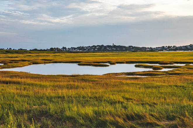 Great Marsh Area