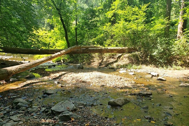 Gunpowder Falls State Park