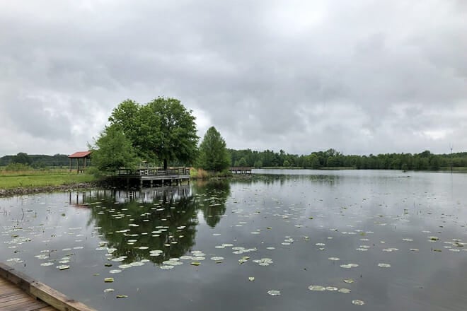 Hatchie National Wildlife Refuge