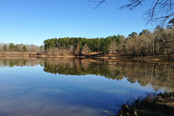 Holly Springs National Forest, Mississippi