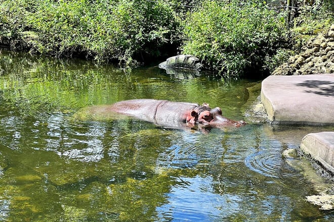 Homosassa Springs Wildlife State Park