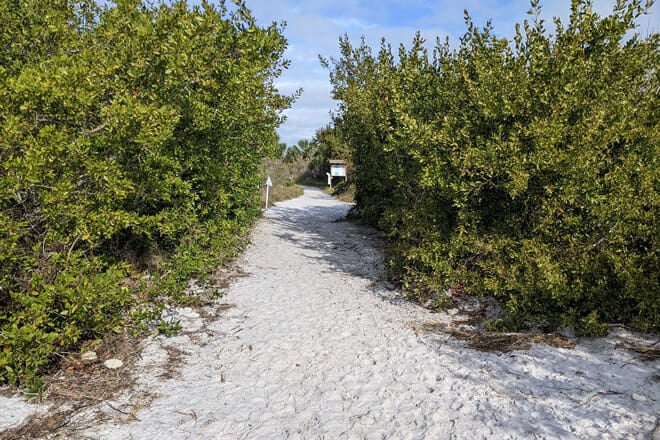 Honeymoon Island State Park