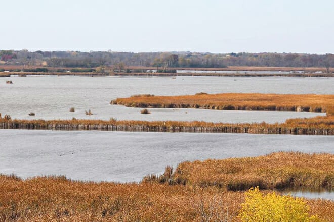 Horicon Marsh