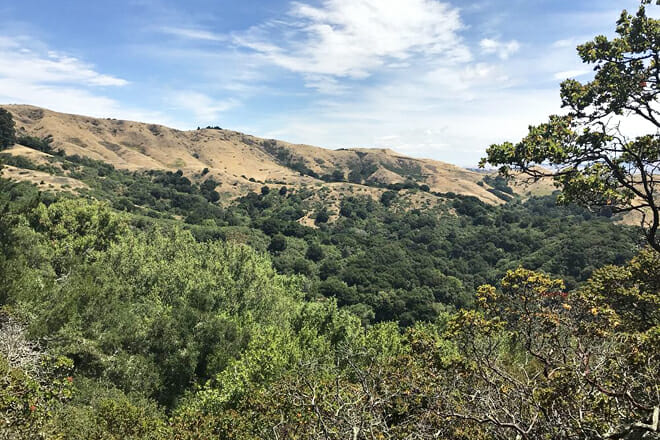 Huckleberry Botanic Regional Preserve