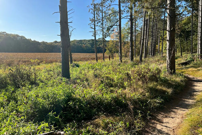 Kettle Moraine State Forest, WI