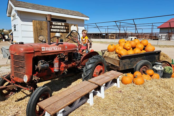 Klausmeyer Farm Sunflower Fields