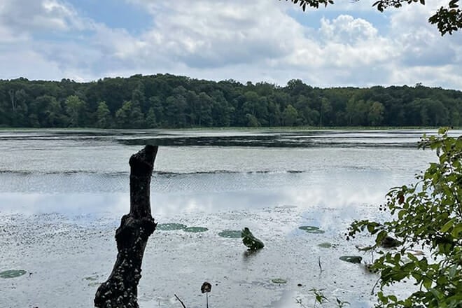 Land Between The Lakes