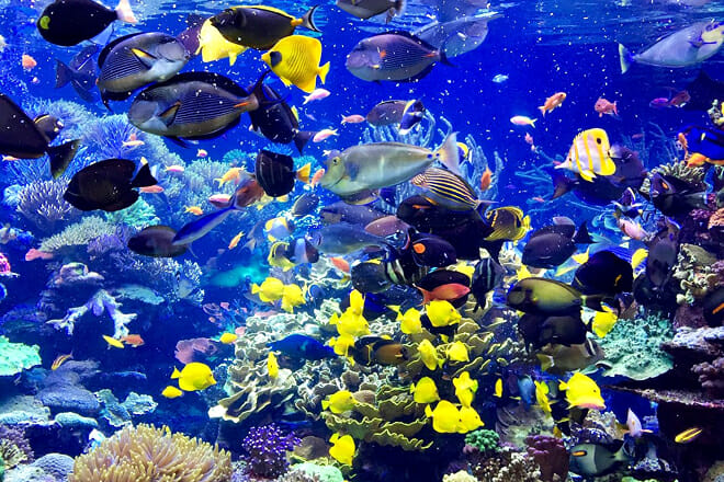 Long Island Aquarium and Exhibition Center