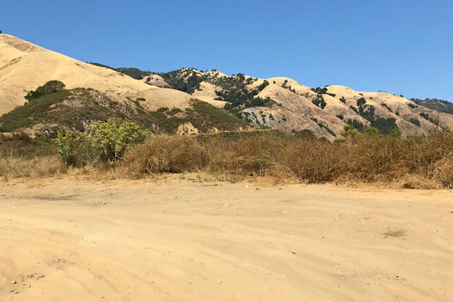 Los Padres National Forest
