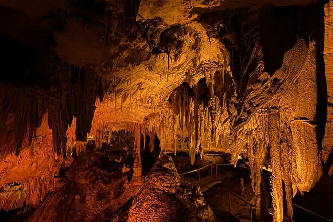 Mammoth Cave National Park