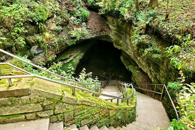 Mammoth Cave National Park