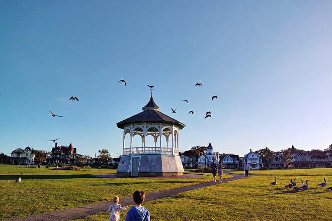 Martha&rsquo;s Vineyard