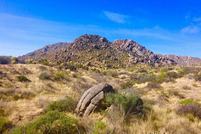 McDowell Mountain Regional Park
