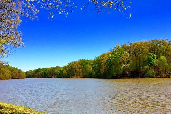 Meeman-Shelby Forest State Park
