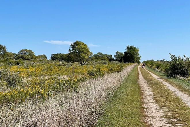Midewin National Tallgrass Prairie, IL
