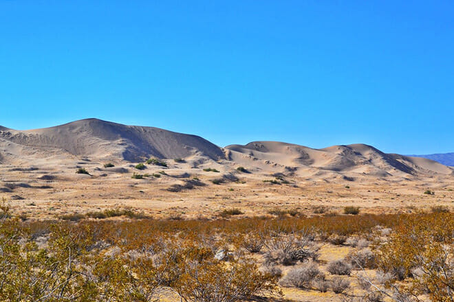 Mojave National Preserve
