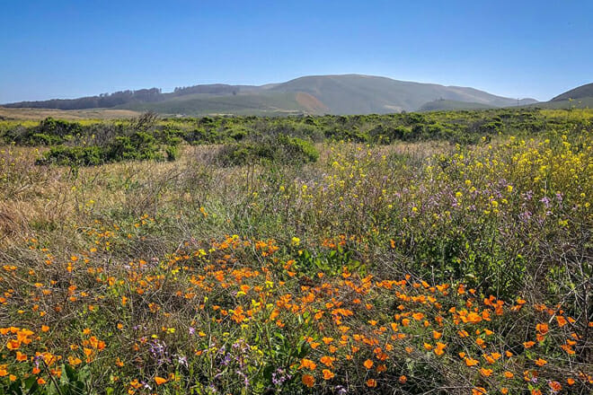 Monta&ntilde;a de Oro State Park