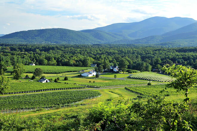 Monticello Wine Trail