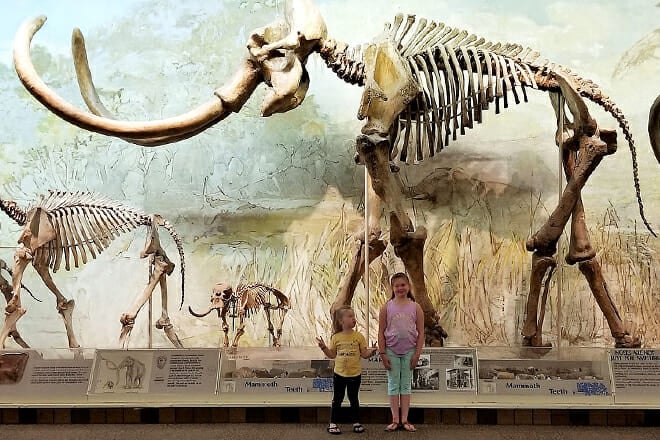 Morrill Hall: University of Nebraska State Museum &ndash; Lincoln, Nebraska
