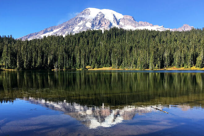 Mount Rainier National Park