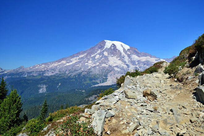 Mount Rainier National Park