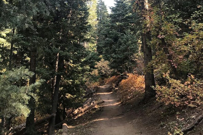 Mueller Park Picnic Area