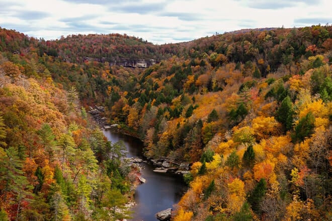 Obed Wild and Scenic River