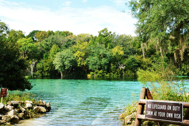 Ocala National Forest
