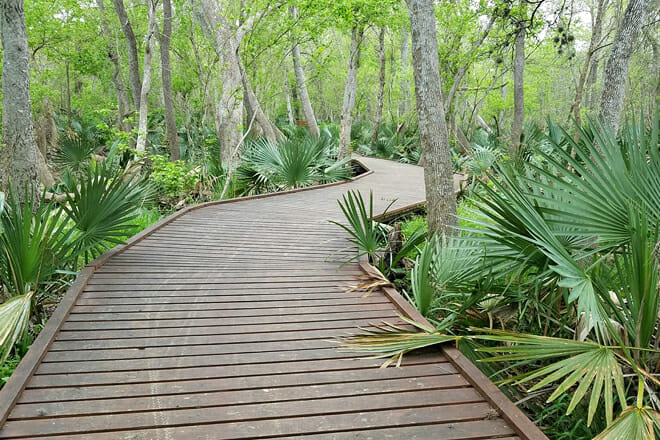 Palmetto State Park