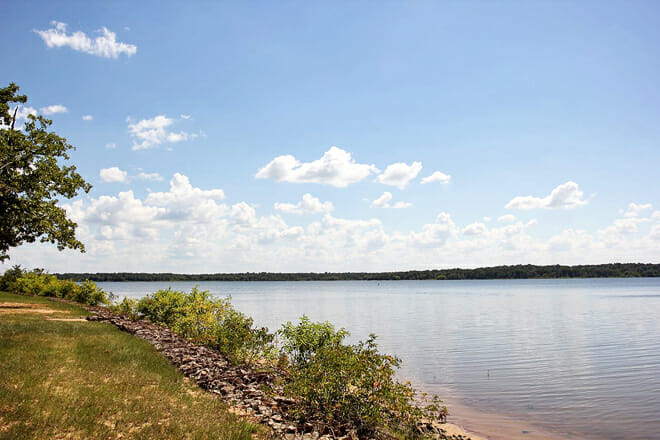 Pat Mayse State Wildlife Management Area