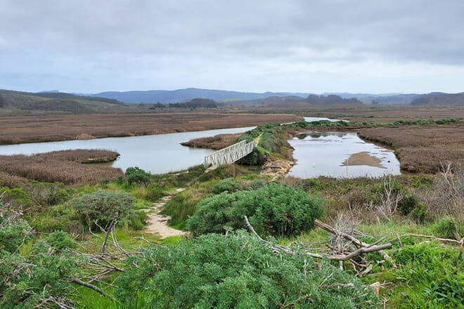 Pescadero Marsh Natural Preserve