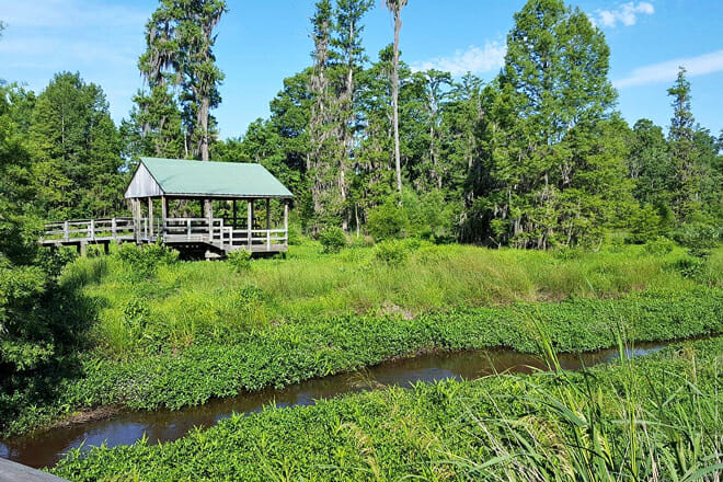 Phinizy Swamp Nature Park