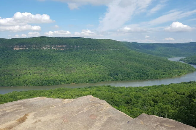 Prentice Cooper State Forest