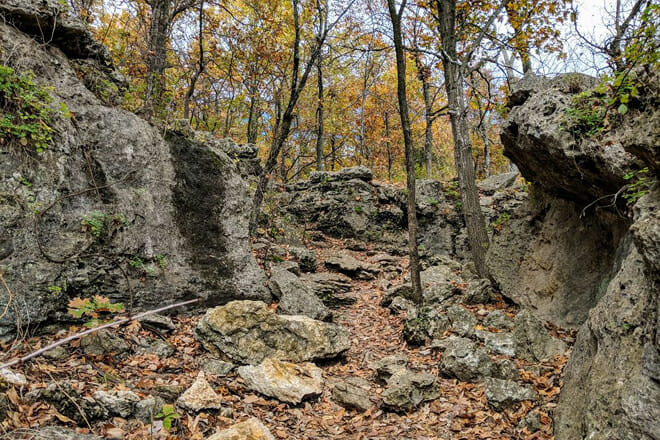 Redbud Valley Nature Preserve