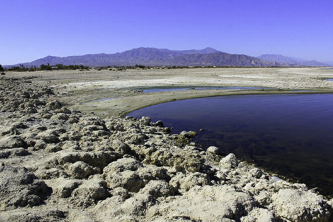 Salton Sea