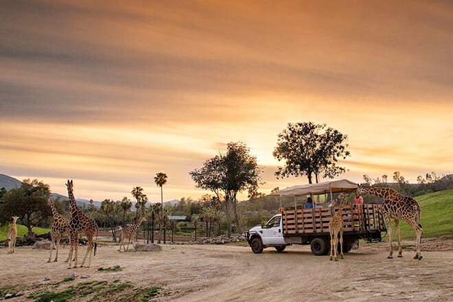 San Diego Zoo Safari Park